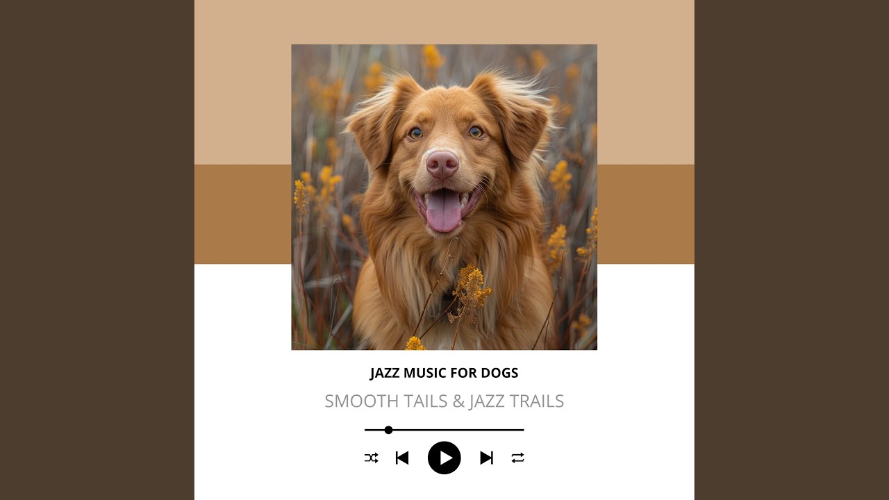 Dog Bop Delight - YouTube