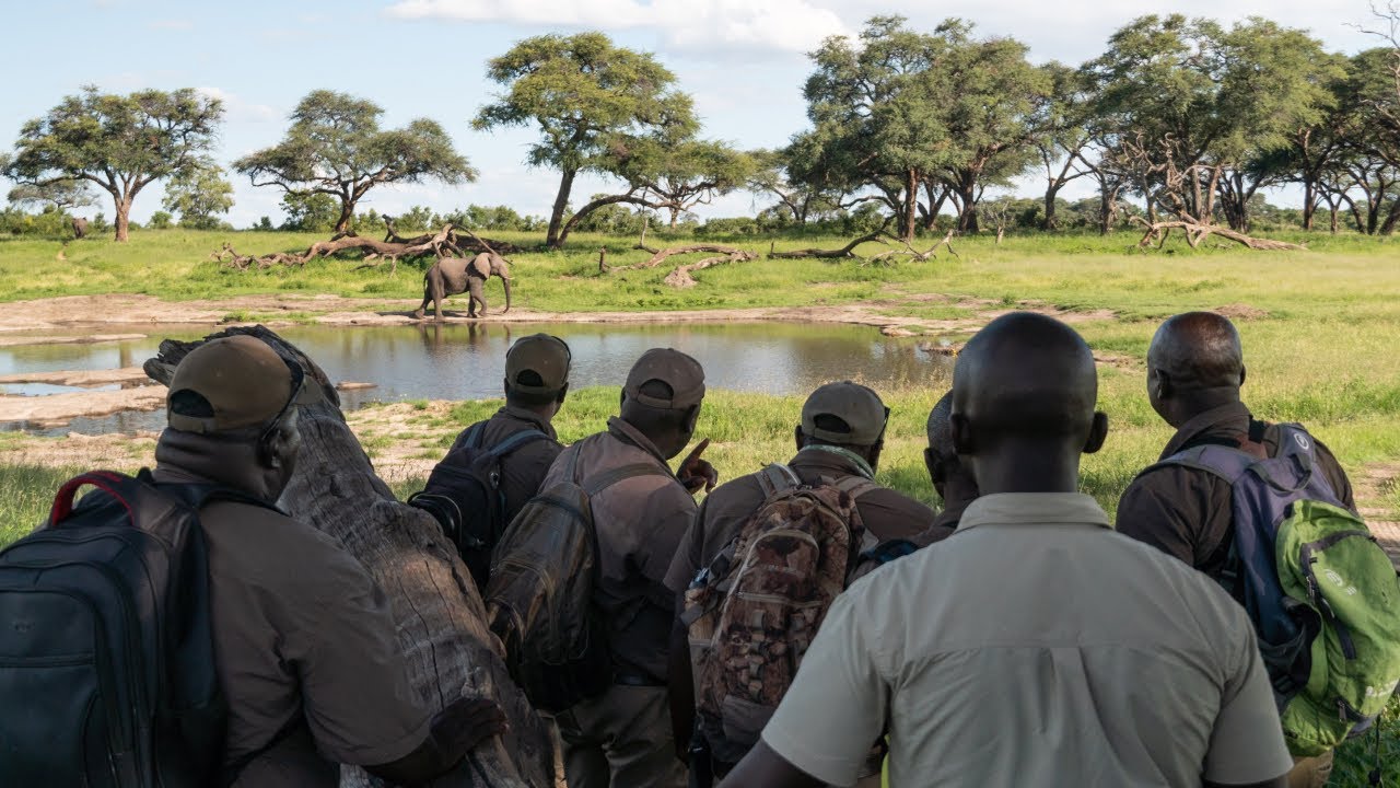 Guides Training 2023 - African Bush Camps - YouTube