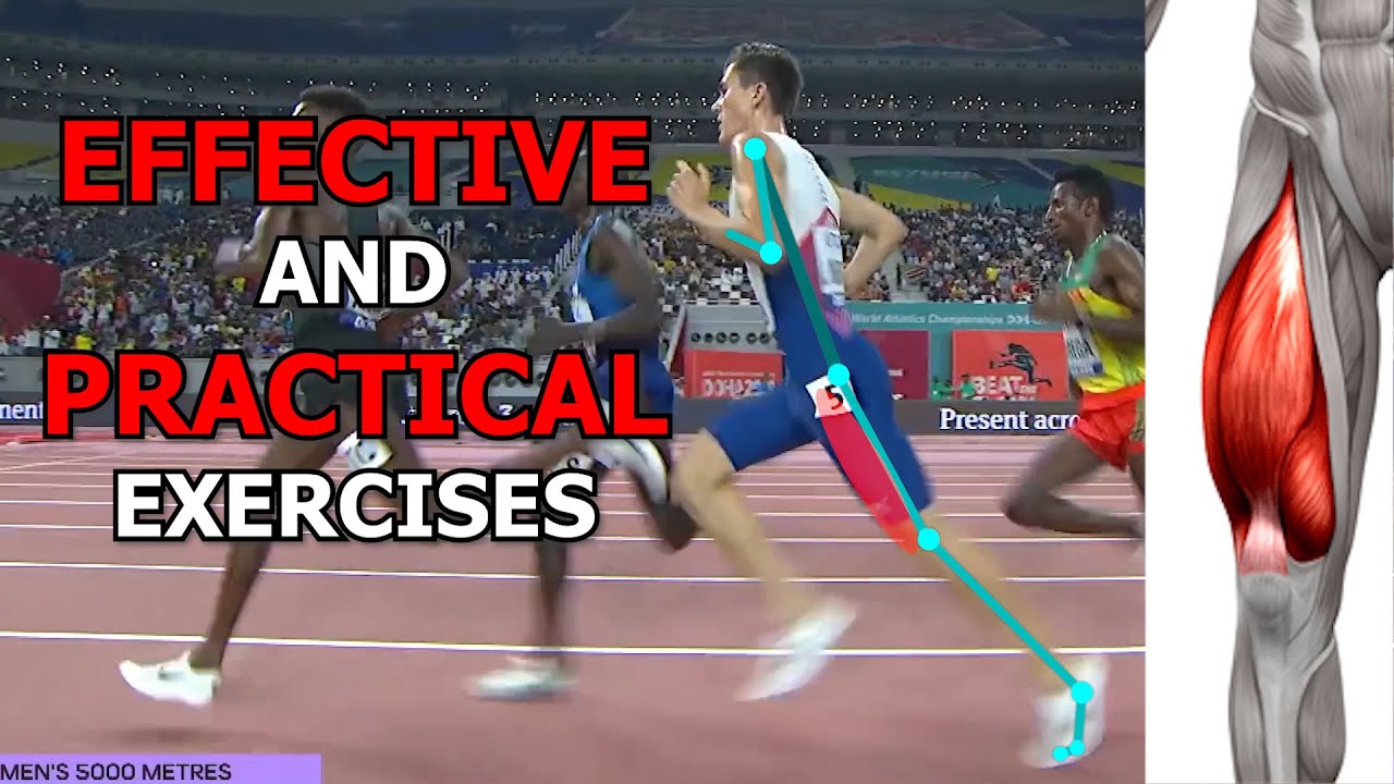 Running Exercises: Practical and Effective QUAD Exercises to do AT HOME ...