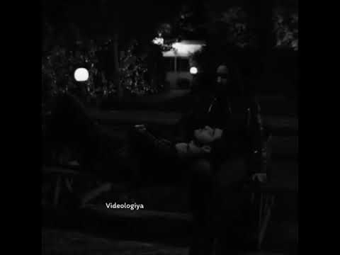 Sevgili videolari❤️