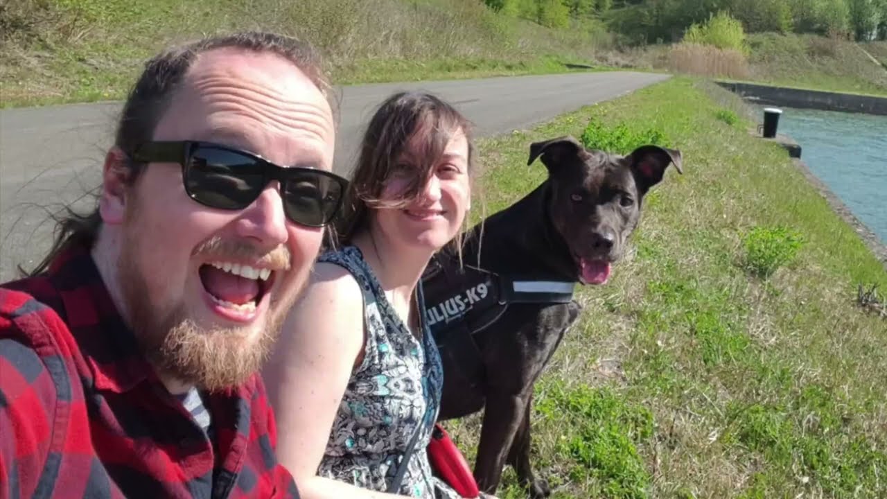 Songs About Dogs YouTube songs-about-dogs-youtube
