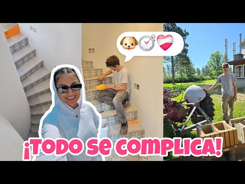 ESTO ESTÁ PASANDO CON ALEX Y CONMIGO ❤️‍🩹⏱️🐶| terminamos las gradas 🎉