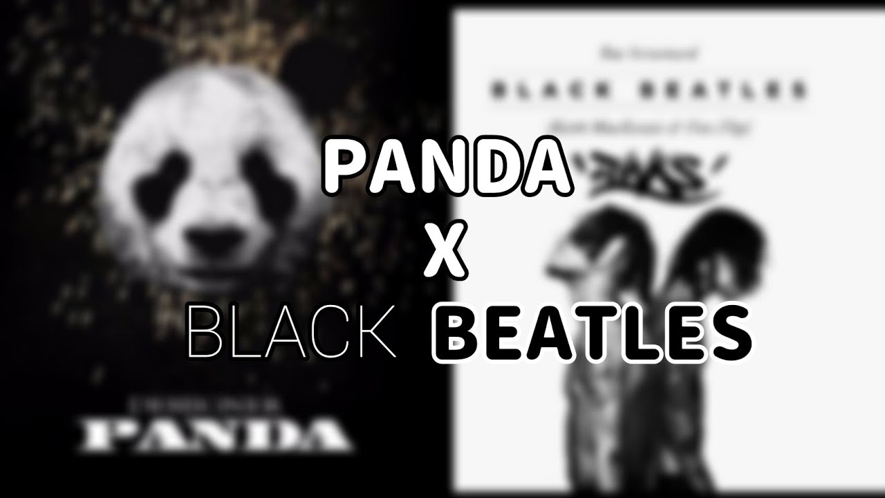 Panda x Black Beatles (Short Version) - YouTube