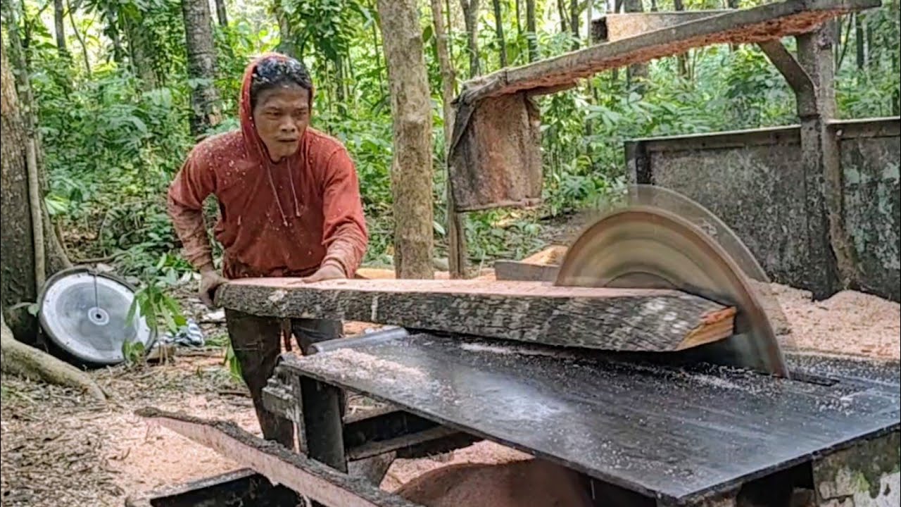 Keterampilan tercepat luar biasa membelah kayu mahoni - gergaji mesin ...