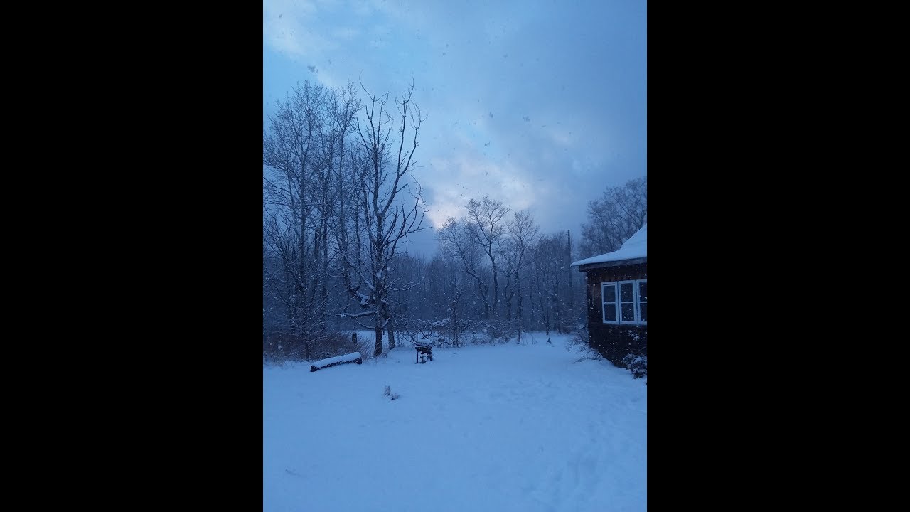 March Snow Day - YouTube