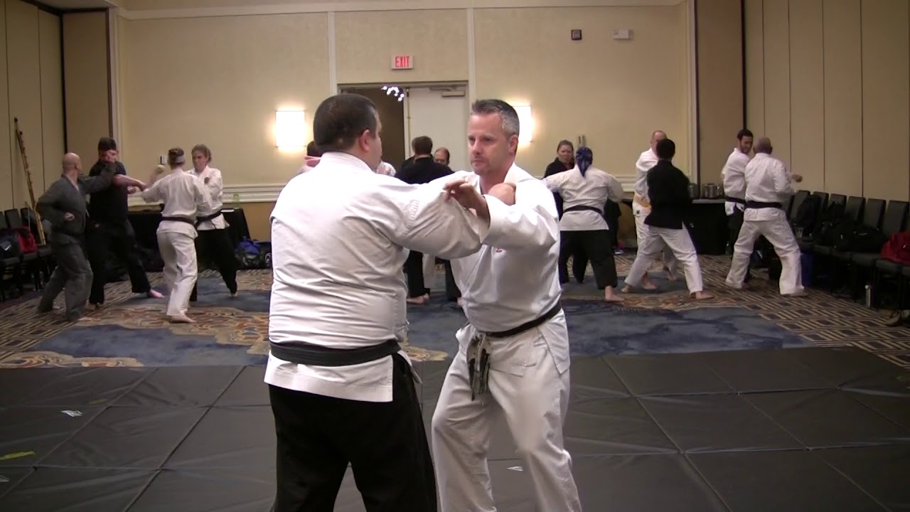 Seirenkai Jujitsu - Uchikomi Practice at International Seminar - YouTube