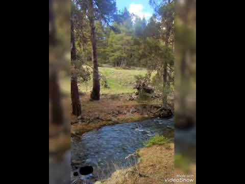 Rahîm sağlam.Özledim