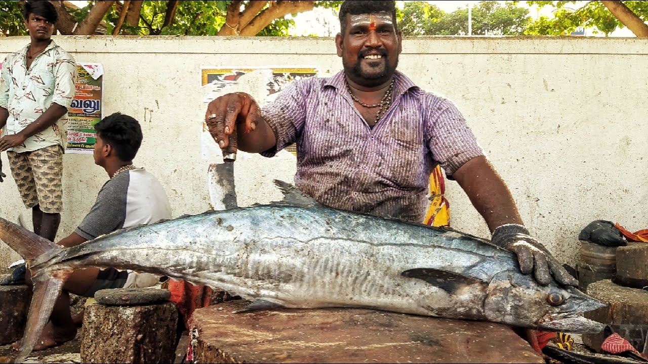 15KG |BIGGEST SEER FISH |VANJIRAM MEEN |CUTTING VIDEO |CUTTING SLICES # ...