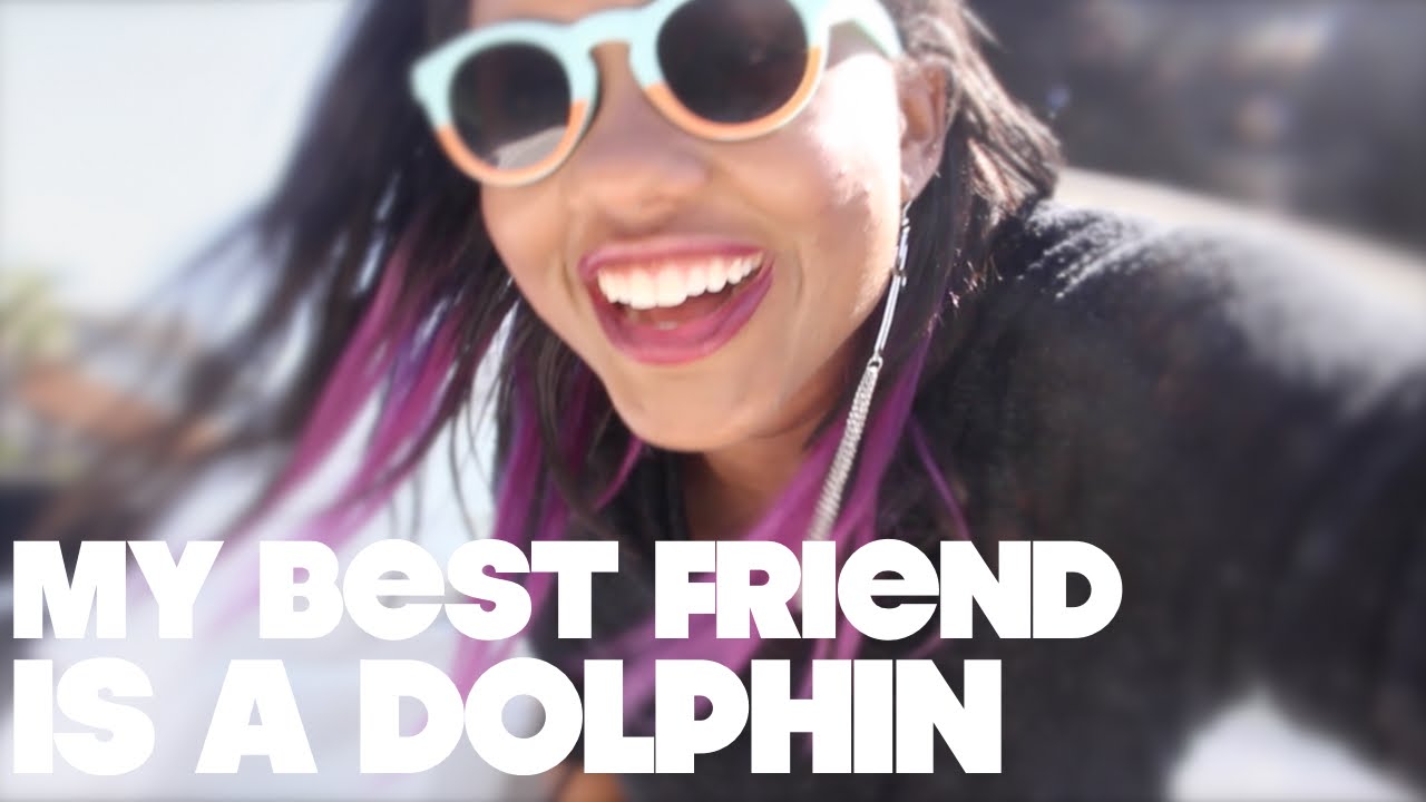 #62 My Best Friend is a Dolphin | Vlog - YouTube