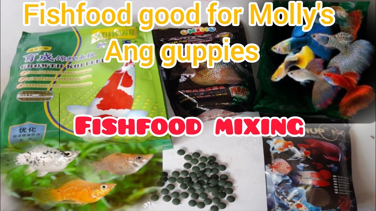 Fish Food Mixing/Fish food For Molly's and Guppies etc - YouTube