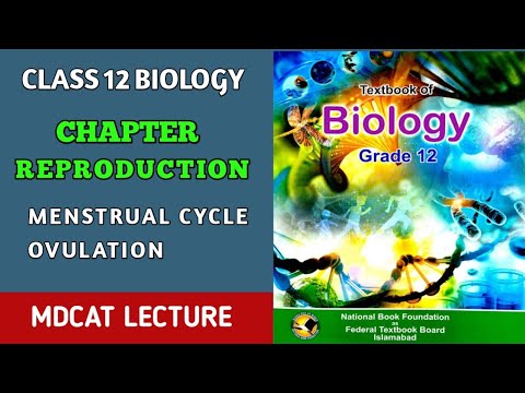 MENSTRUAL CYCLE || FEMALE REPRODUCTIVE CYCLE || CLASS 12 MDCAT BIOLOGY ...