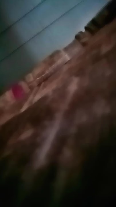 24 March 2024 - YouTube