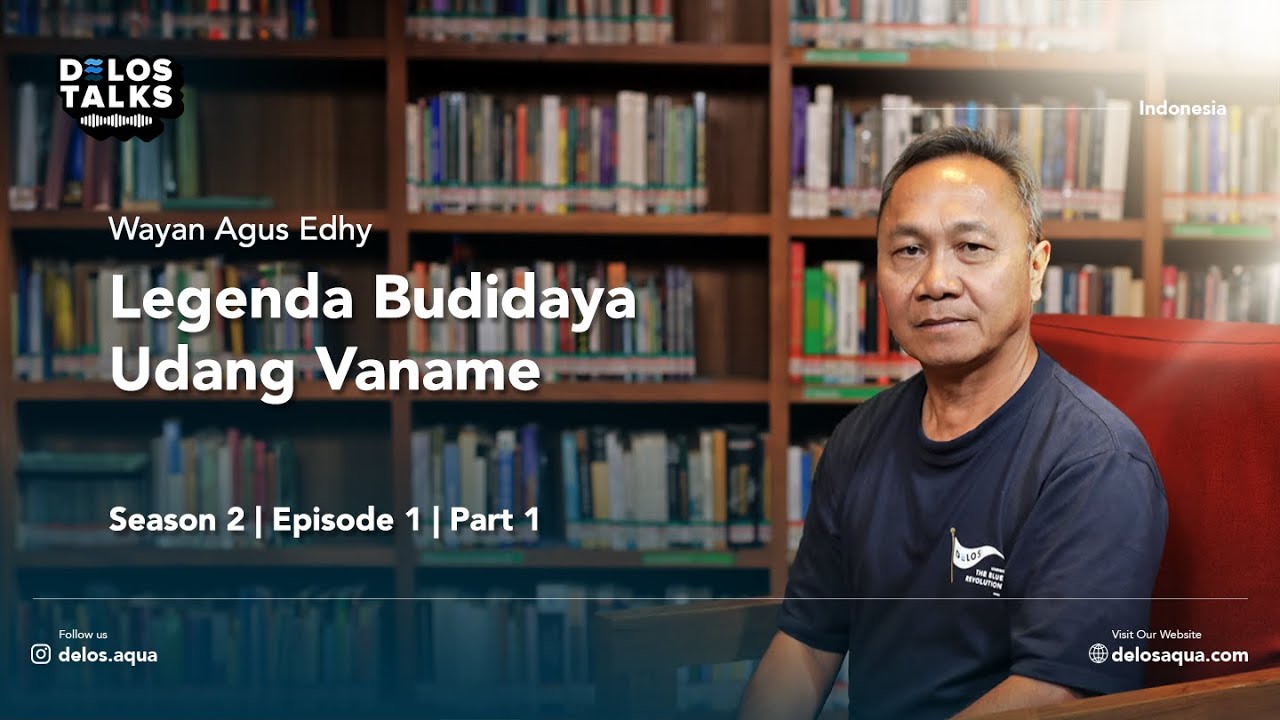DELOSTalks: Legenda Budidaya Udang Vaname - Wayan Agus Edhy (Part 1 ...