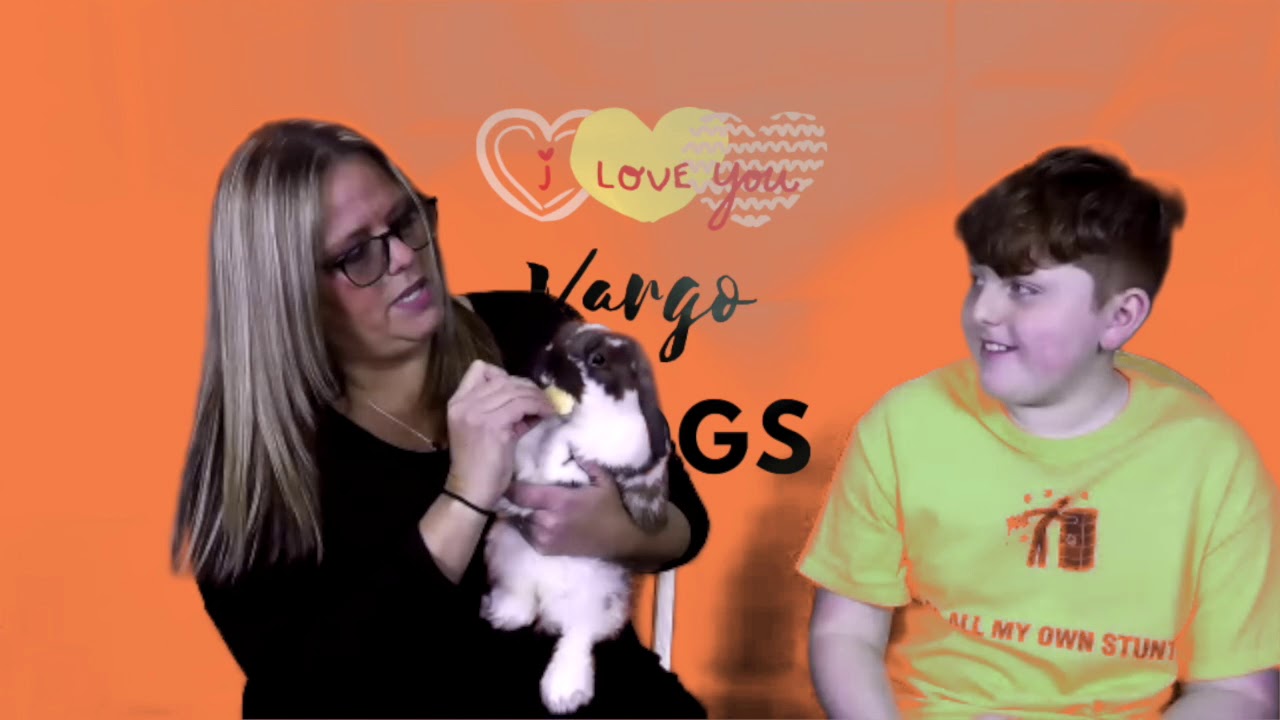 About Barron Bunny - YouTube