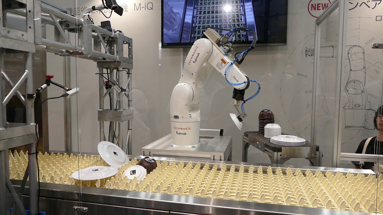 Dish Washing Robot