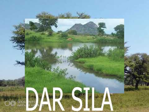 GOZ BEIDA TV.SL DAJU any where around the world