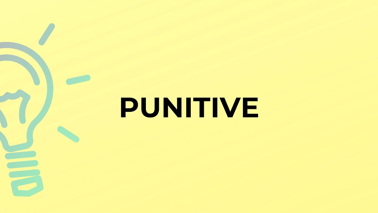 What is the meaning of the word PUNITIVE? - YouTube