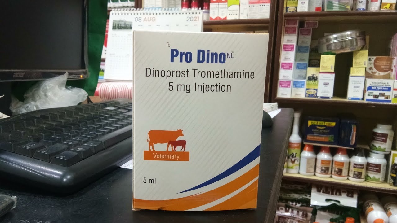 Pro Dino - Dinoprost Tromethamine 5MG Injection - Vvaan LifeSciences ...