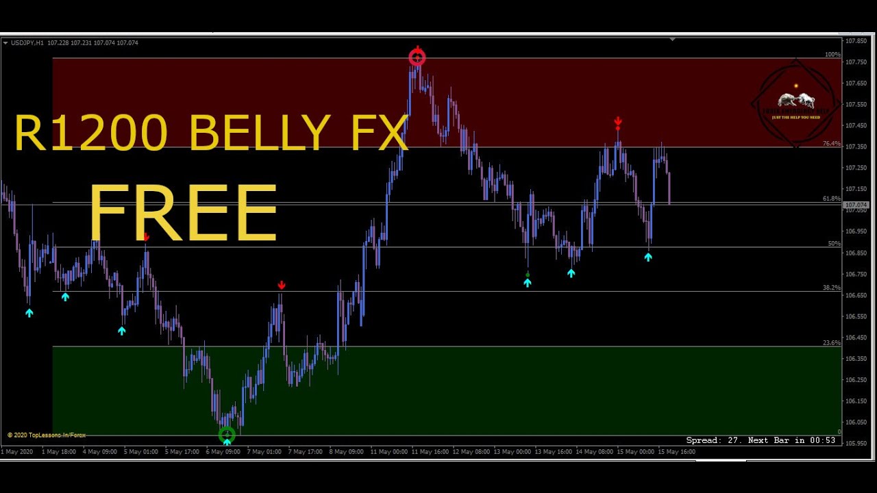 R1500 BELLY FOREX SYSTEM FREE - YouTube