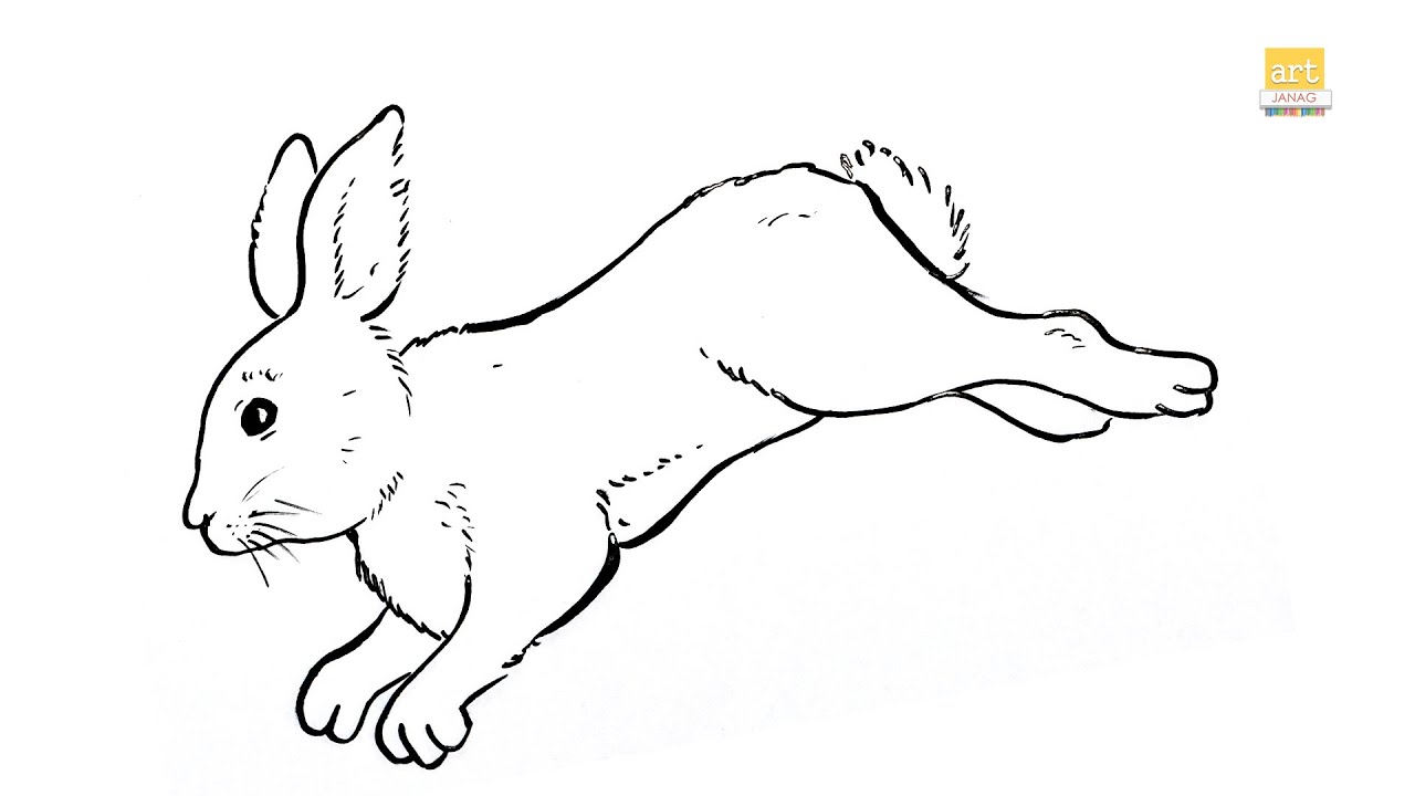 Running Rabbit Drawing Outline