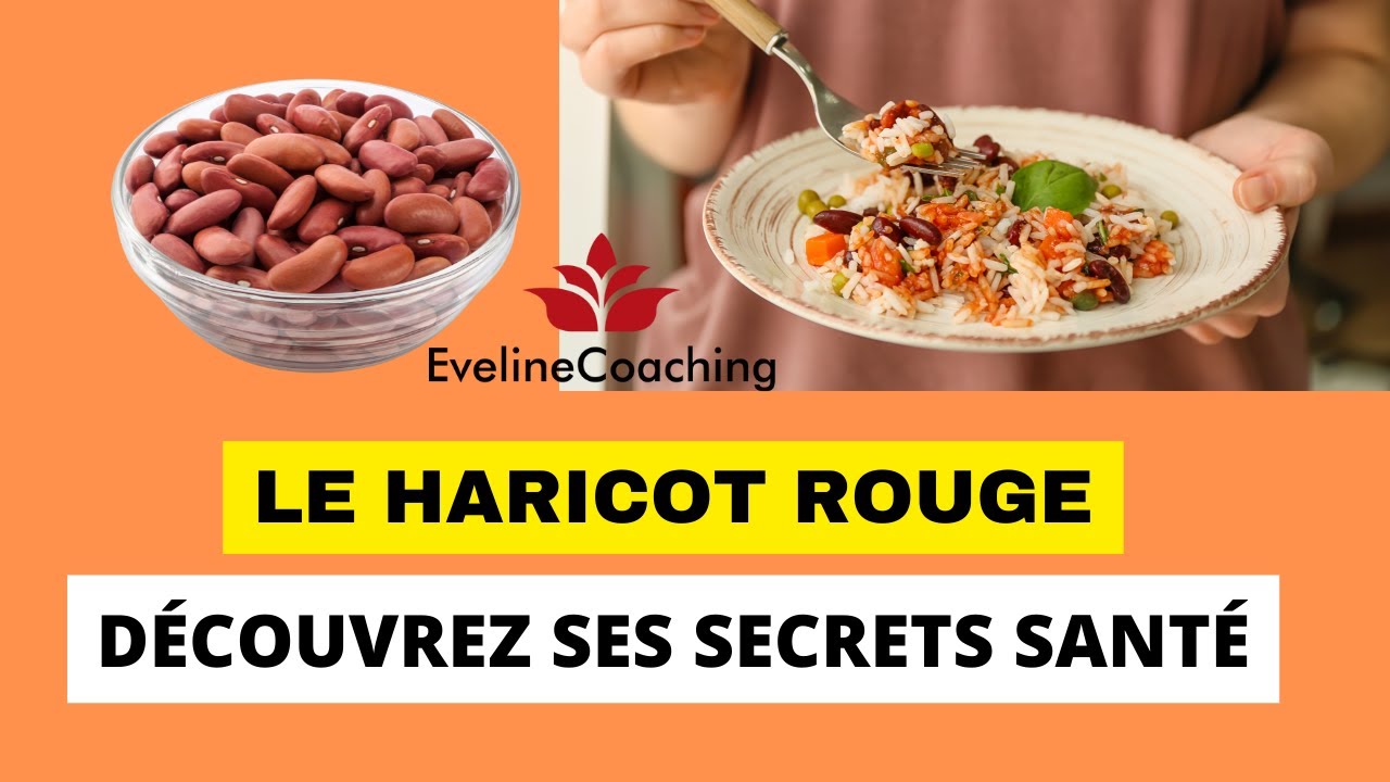 Santé alimentaire : Le haricot rouge , découvrez les secrets santé de ...