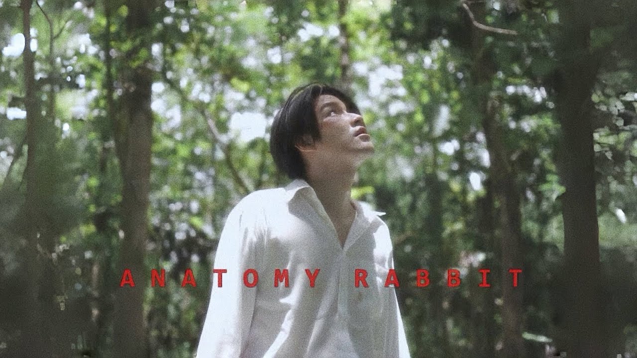 ANATOMY RABBIT - PAST & PRESENT Acordes - Chordify