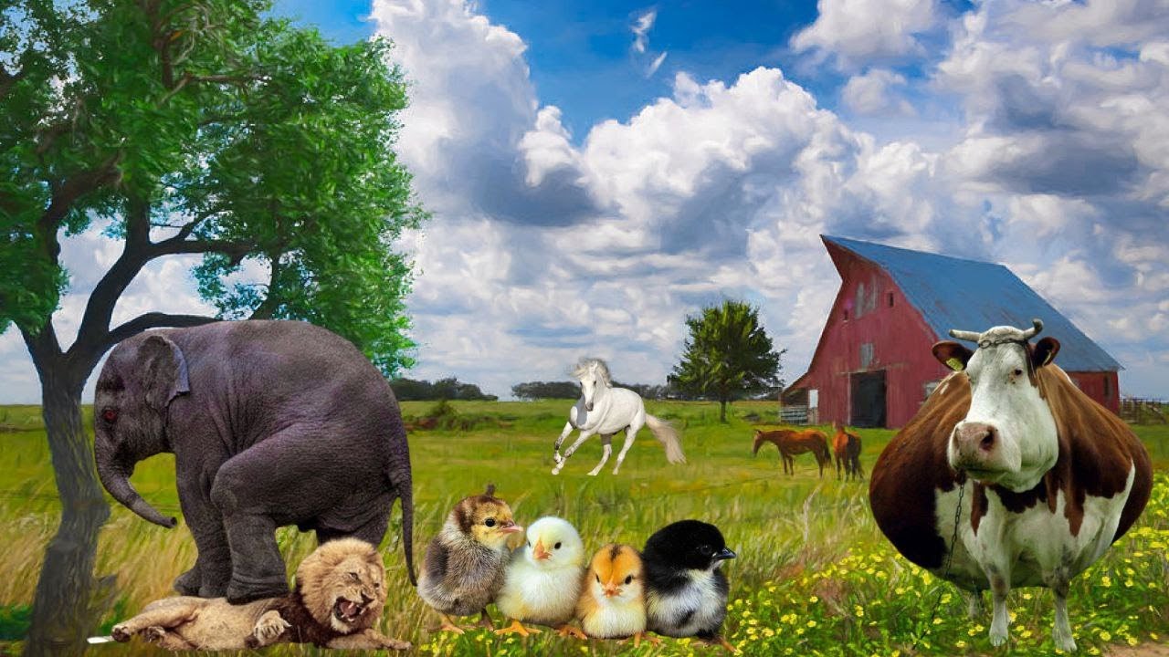 Animal sound synthesis: cow, dog, cat, chicken, duck, monkey, elephant ...