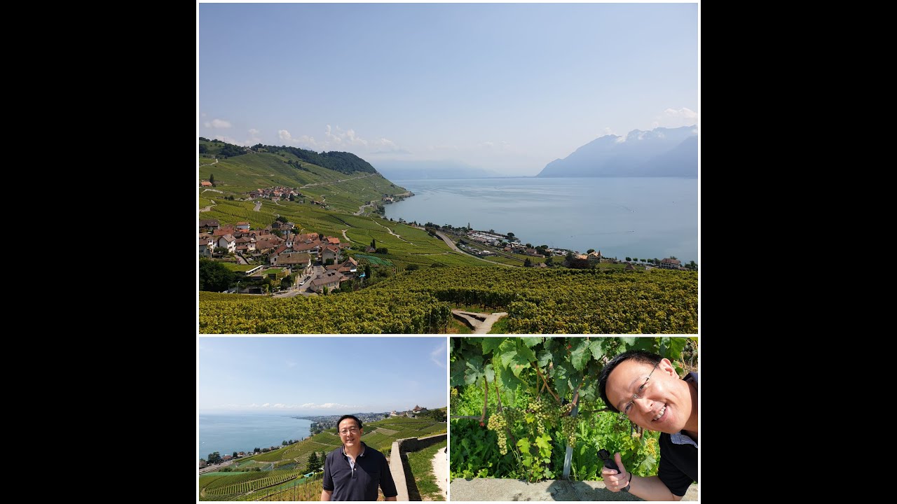 Lavaux Vineyard, a UNESCO World Heritage site by the tourist train ...