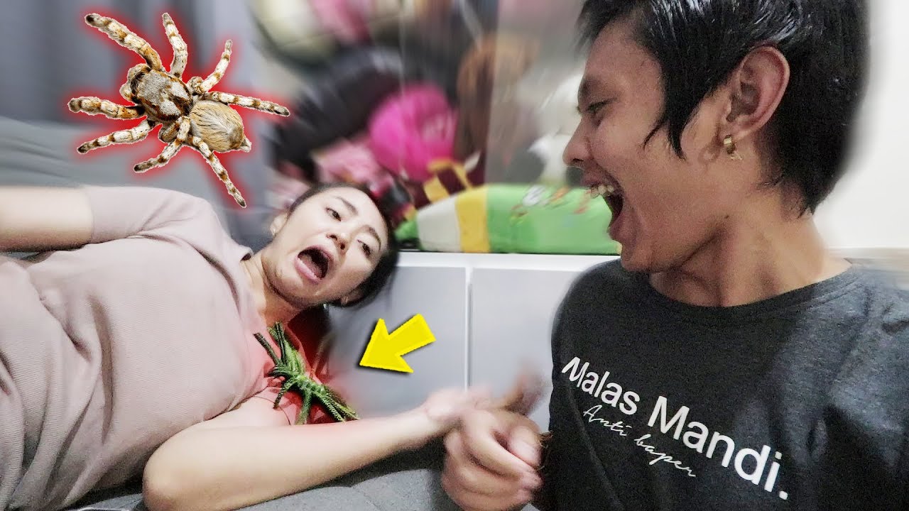 PRANK GANGGUIN PUSPA TIDUR PAKAI LABA-LABA !!! - YouTube