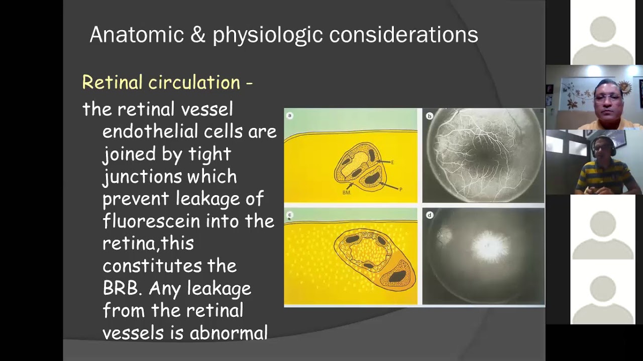PG FFA ICG BOA - YouTube