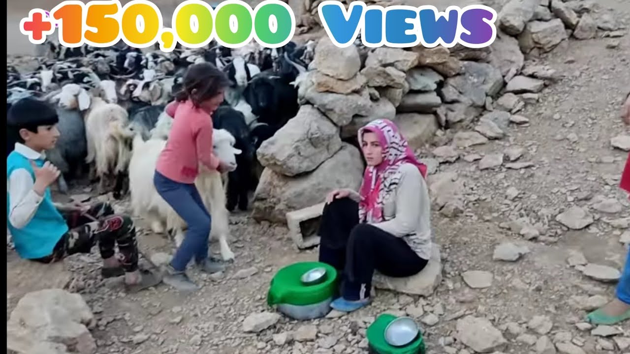 Village life: In a nomadic tribe, everyone does something - YouTube