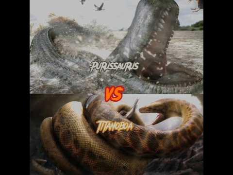 Purussaurus Vs. Titanoboa - YouTube