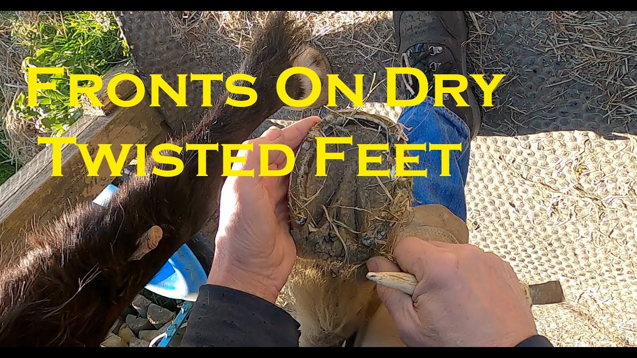 Dry Twisted feet - YouTube