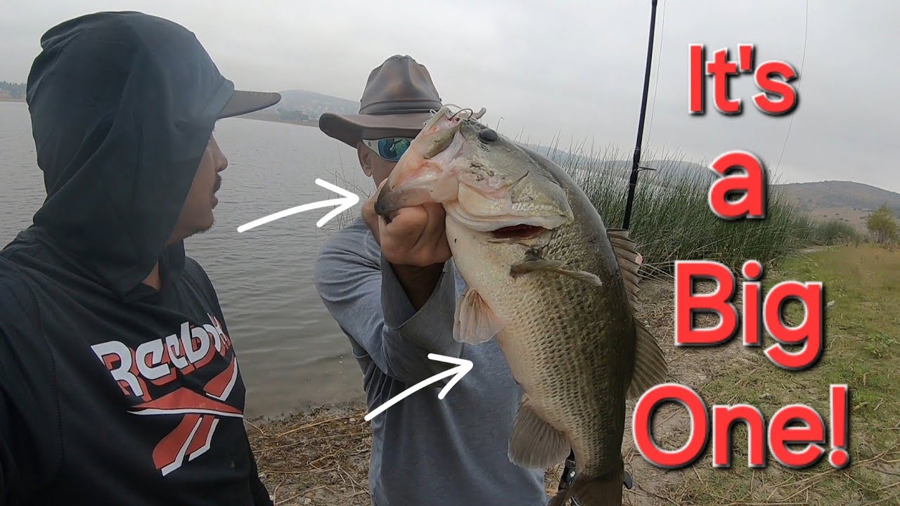 Power Bfs Bass fishing - Fall Season! It's a Big One! - YouTube