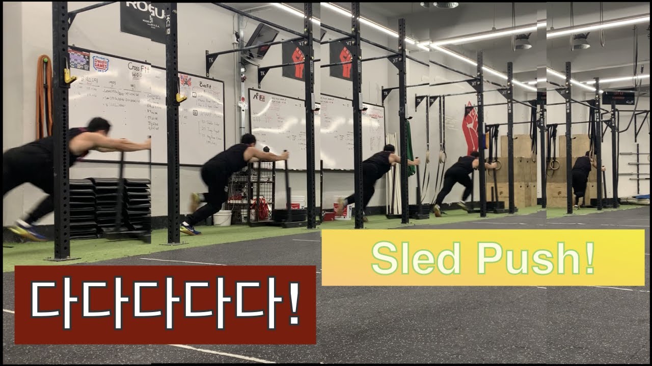 [운동log] 슬레드 푸쉬, 무동력 트레드밀 스프린트 훈련(Sled push, Treadmill, Sprint training ...