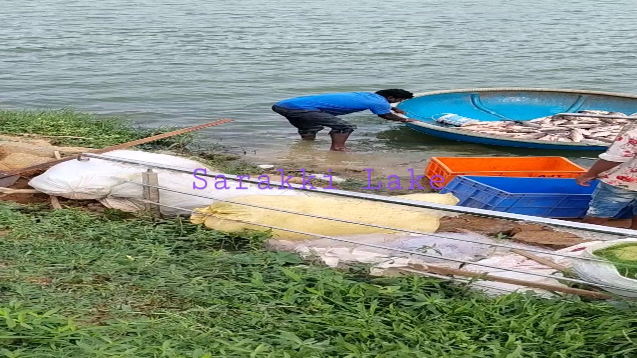 Fishing in Sarakki Lake, JP Nagar 6th Phase Bangalore - YouTube