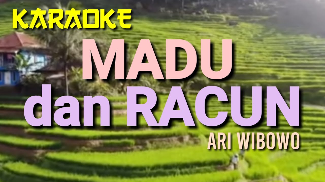 MADU DAN RACUN / Ari Wibowo /Karaoke - YouTube