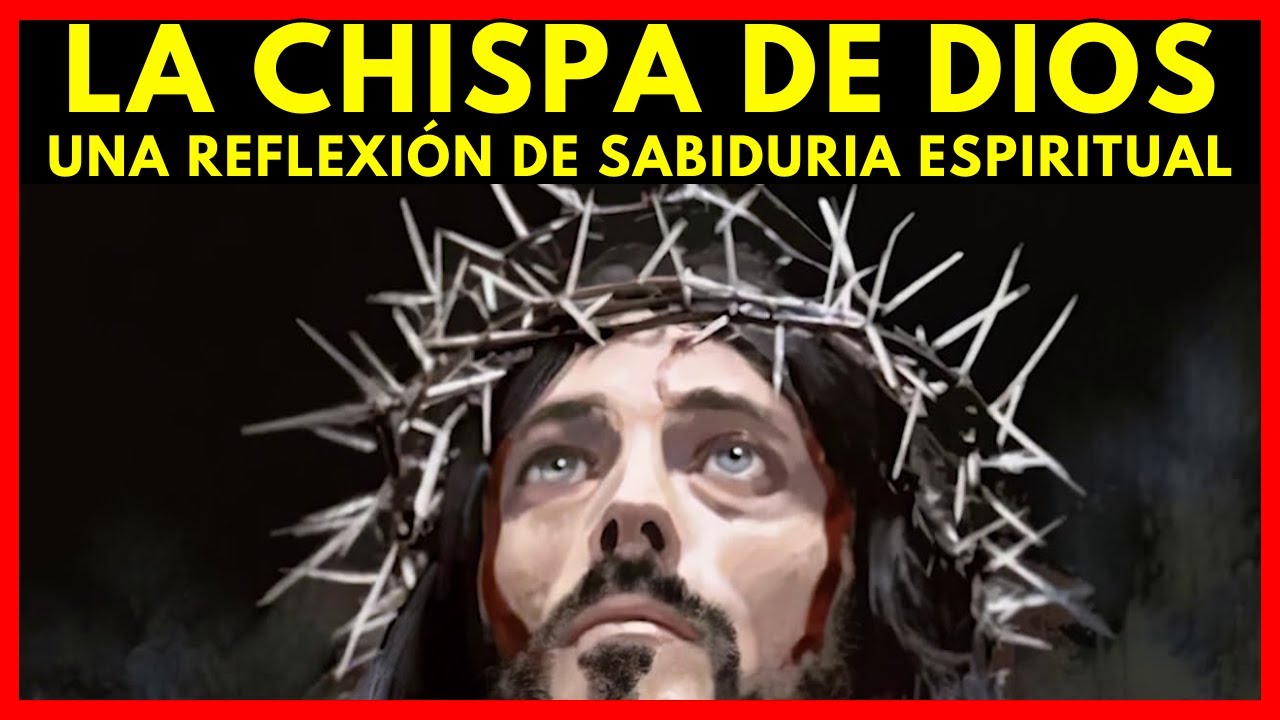 🙏🌼LA CHISPA DE DIOS🙏 HERMOSA REFLEXIÓN DE LA VIDA😍 - YouTube