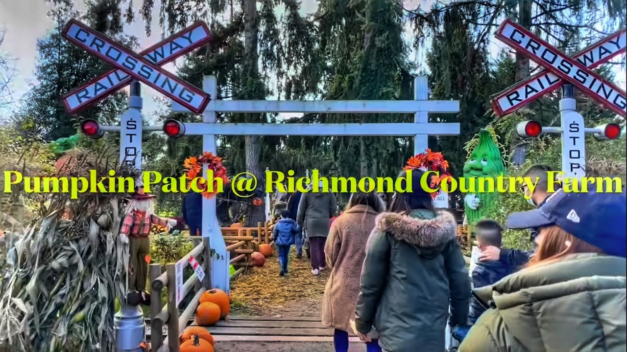 Pumpkin Patch @ Richmond Country Farms - YouTube