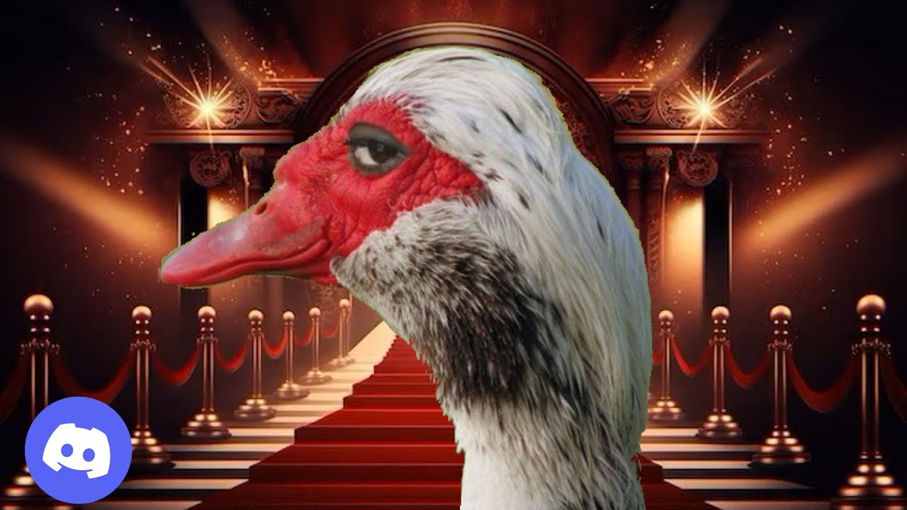 goofy ahh bird awards best birds - YouTube