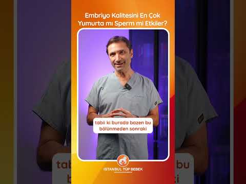 Yumurta Kalitesini En Çok Yumurta mı Sperm mi Etkiler? Op. Dr. Ozan Özolcay