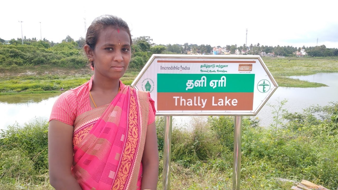 Denkanikottai And Thally Vlog - YouTube