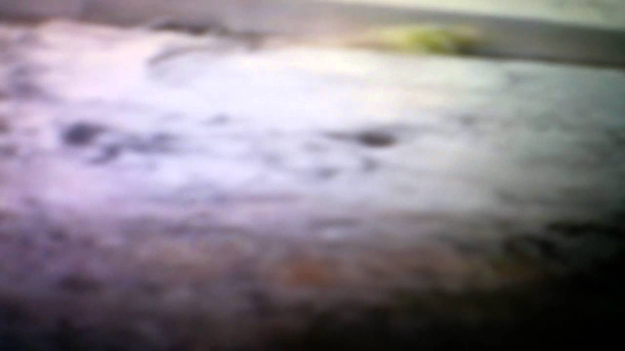 Minicicciolo con miccia - YouTube