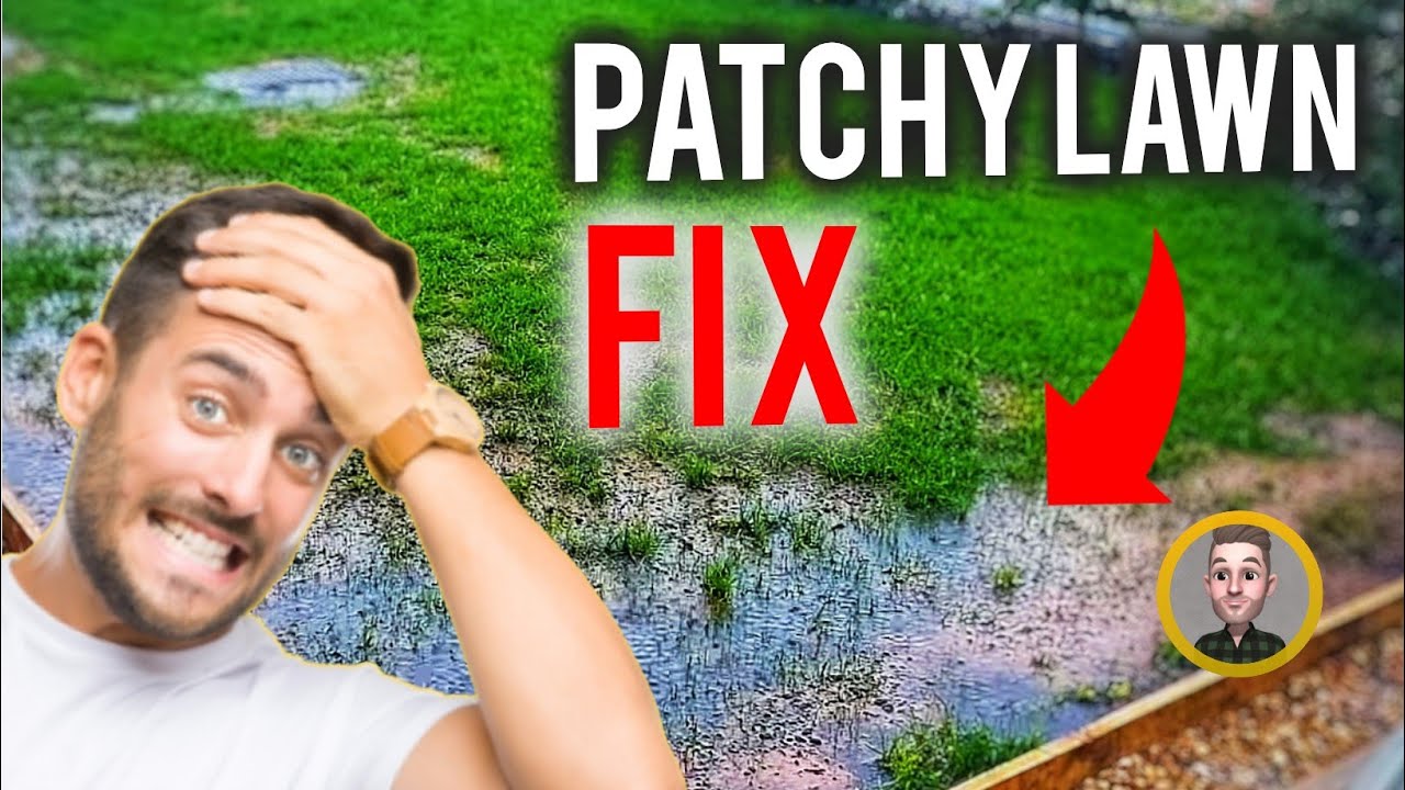 How to fix a Patchy & Thin new Lawn - YouTube