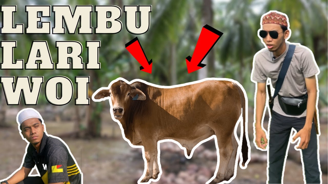 Pakcik-Pakcik Bila Time Korban ( Full Version ) - YouTube