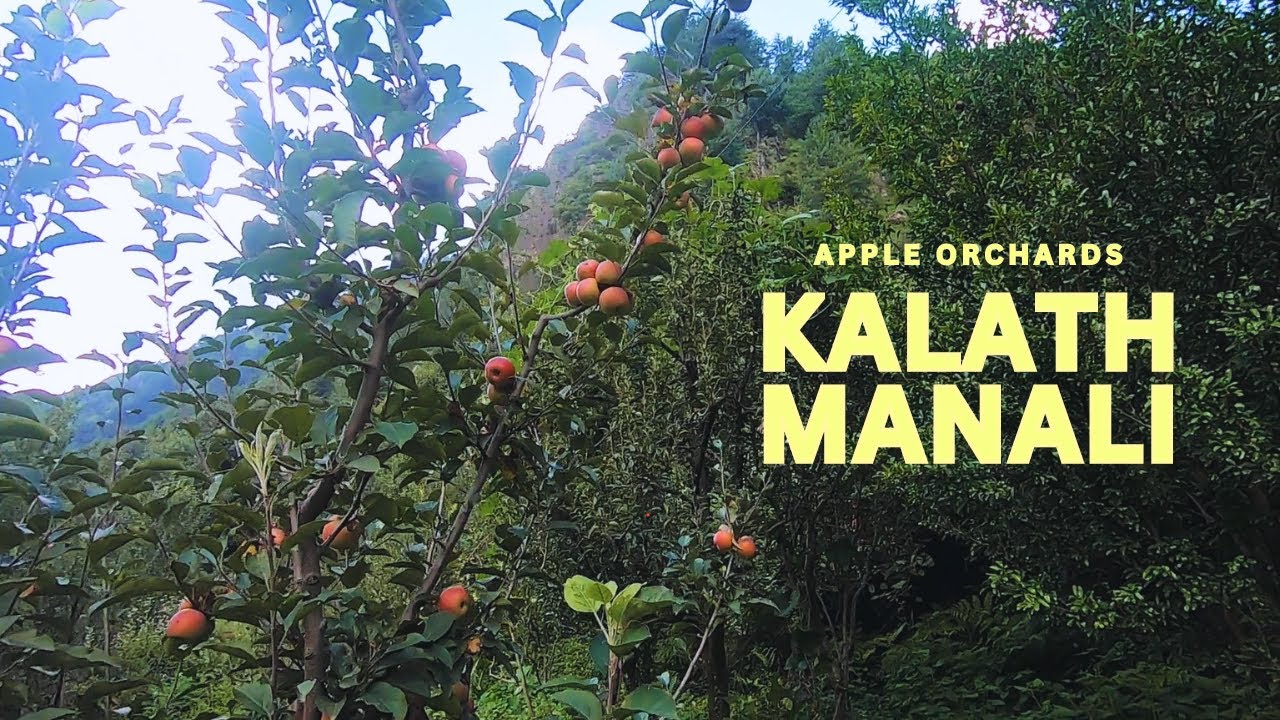 Kalath Is The Best Place To Stay Near Manali For Raw Nature and Apple ...