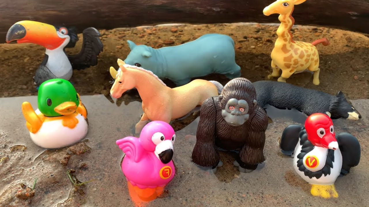 🐾 Jungle Journey: Fun Facts & Zoo Animal Toys for Curious Toddlers ...