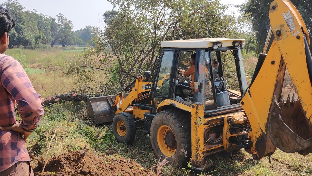 JCB vs Tree - JCB Pushing Down A Tree - JCB VIDEO - YouTube