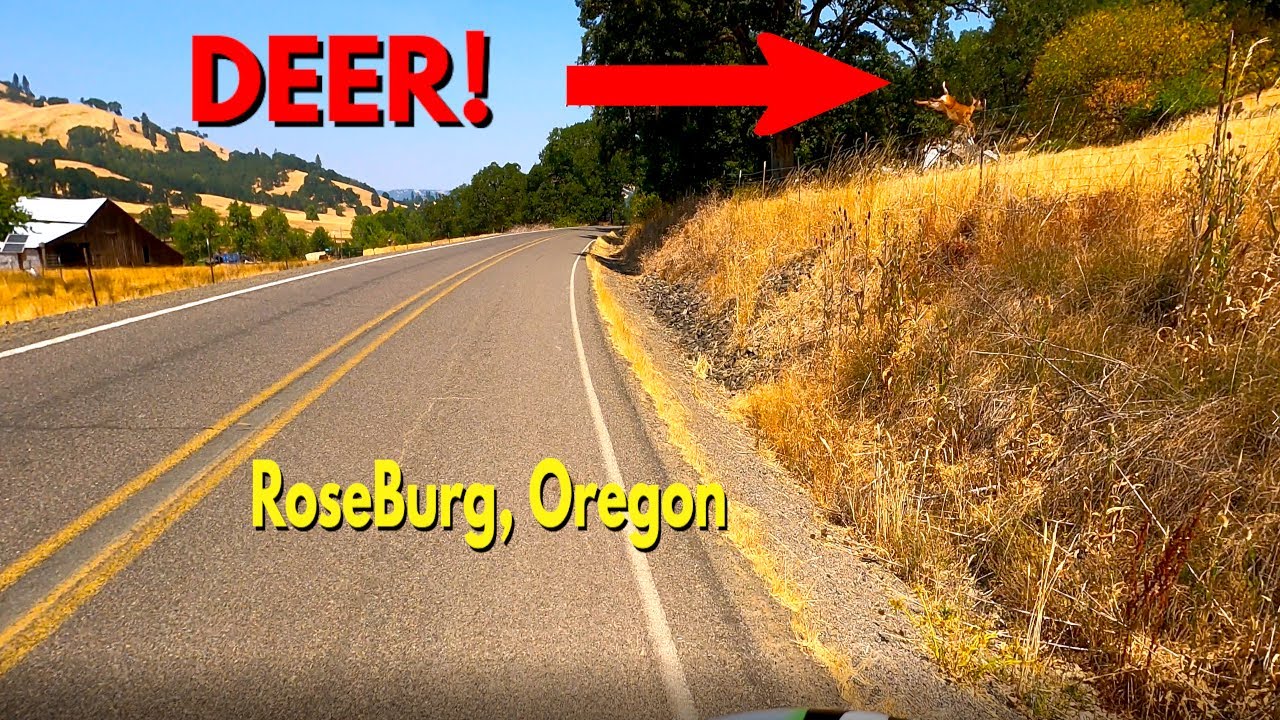 Relaxing Cruise Through Roseburg Oregon Country Side 4K - YouTube
