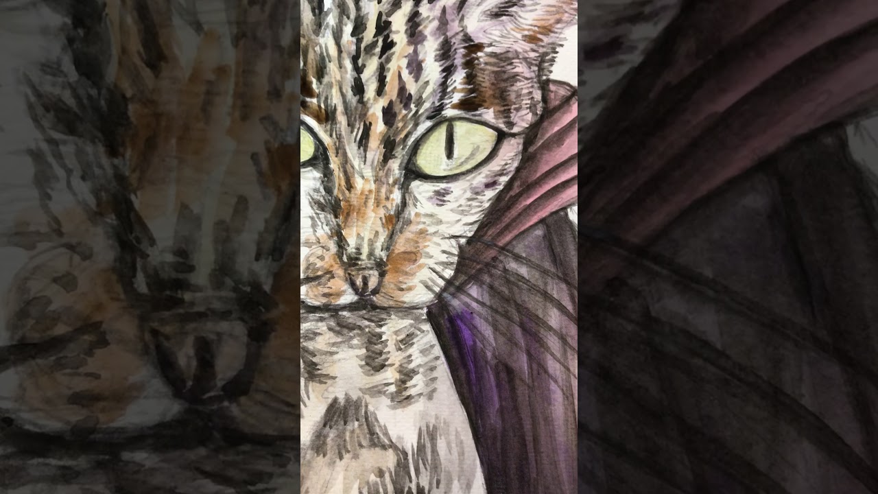 Drawing stray cat - YouTube